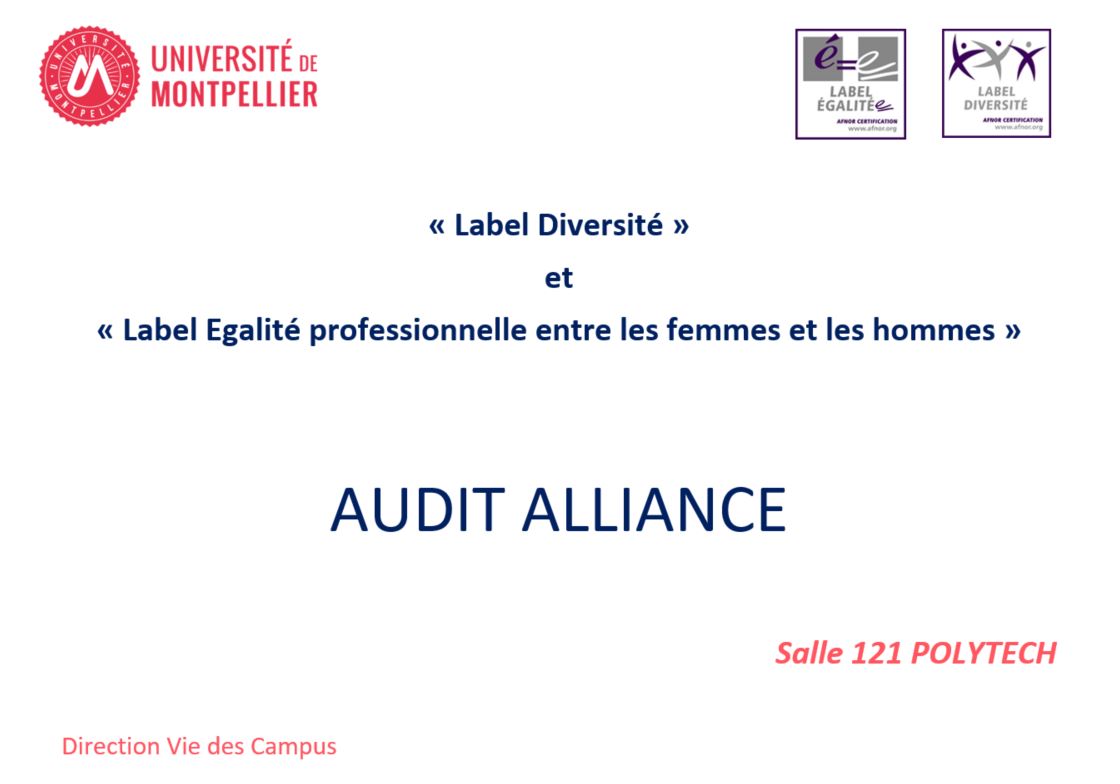 AUDIT ALLIANCE